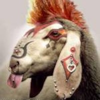 God's Misfits | Free Podcasts | Podomatic"