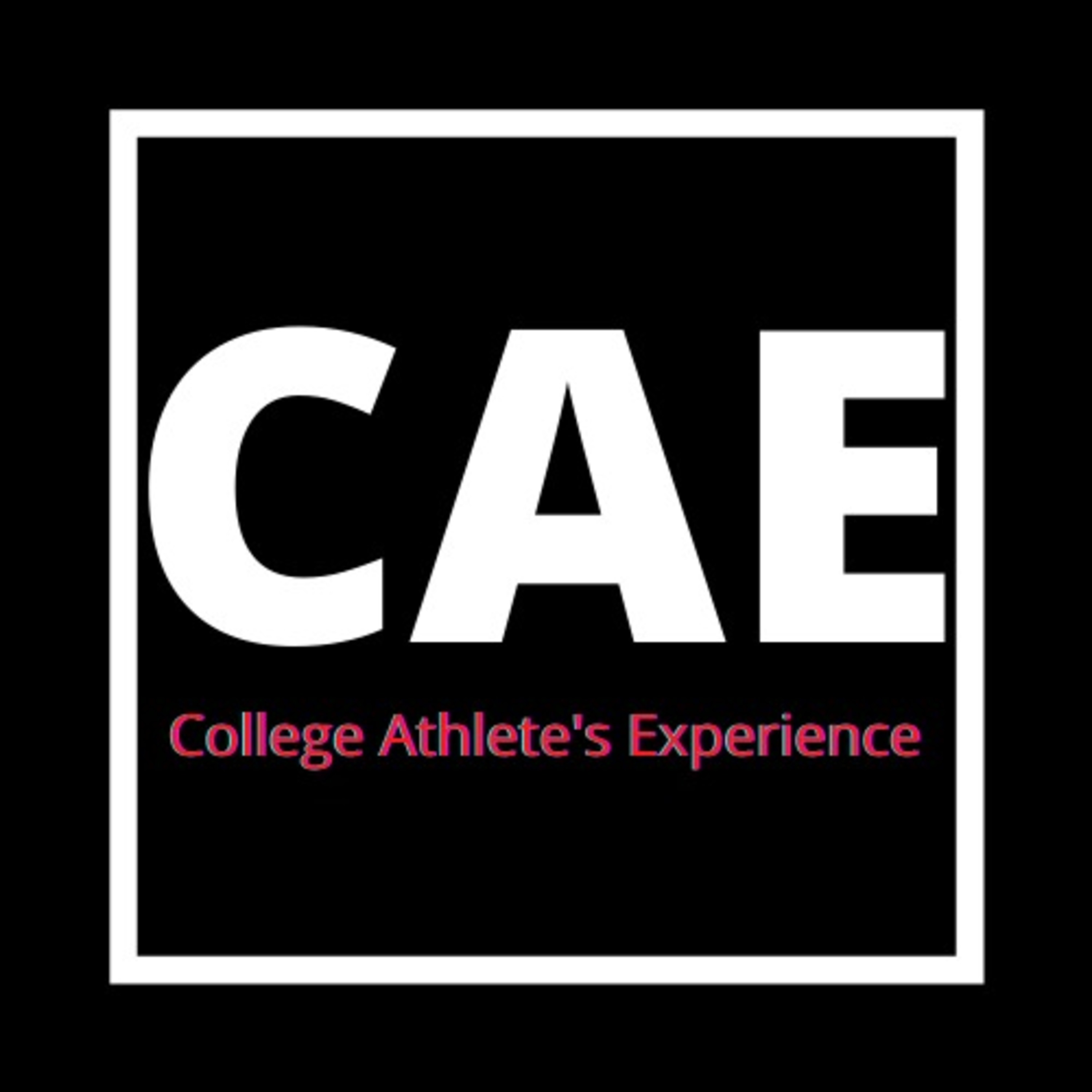 College Athlete's Experience