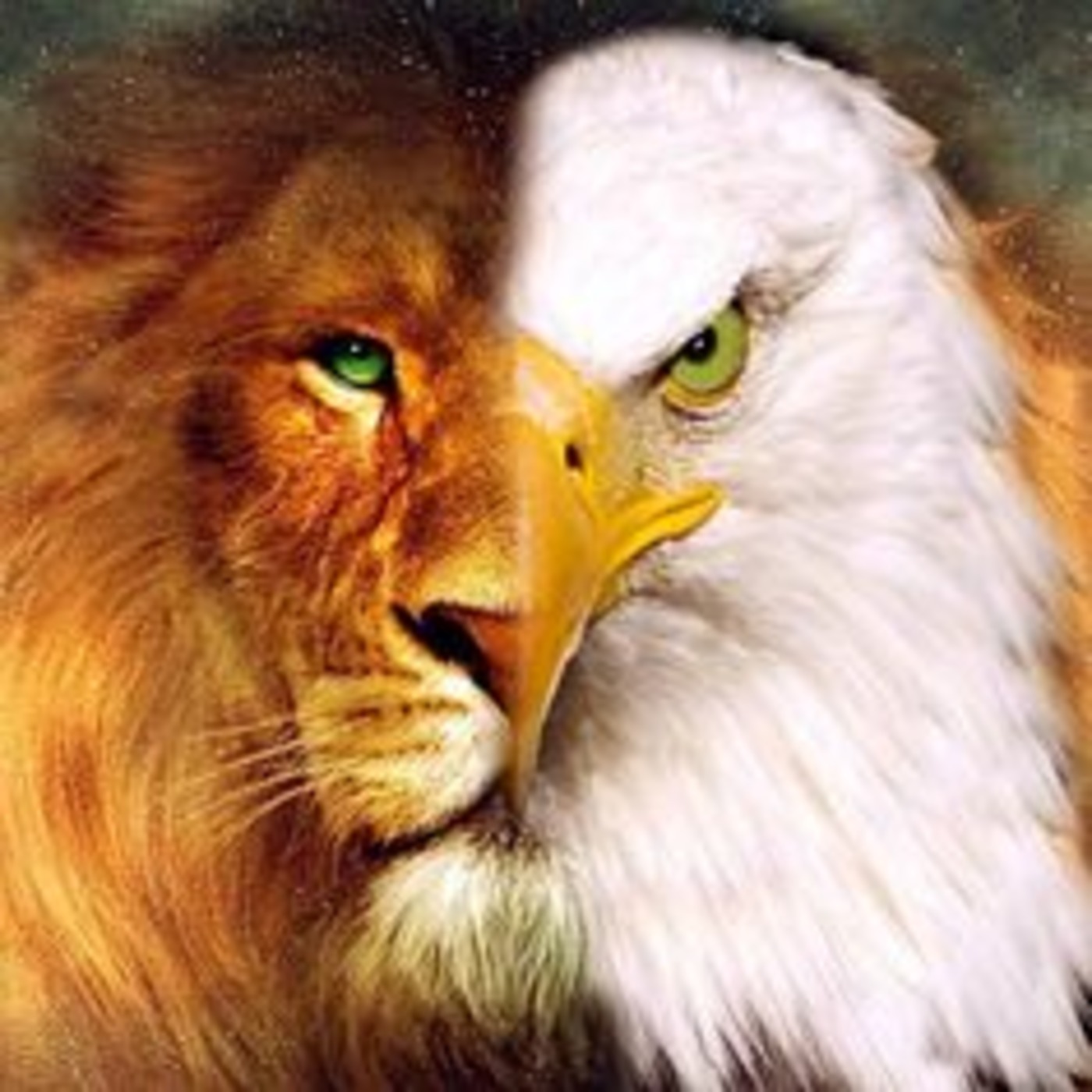 Revelation Realm Podcast - The Lion and Eagle and the Red, White and ...