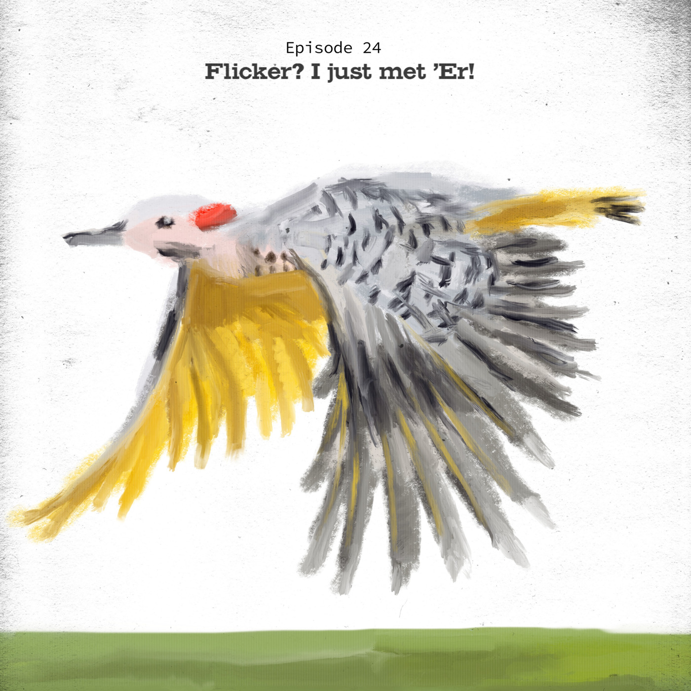 Dirty Bird Podcast - PODash