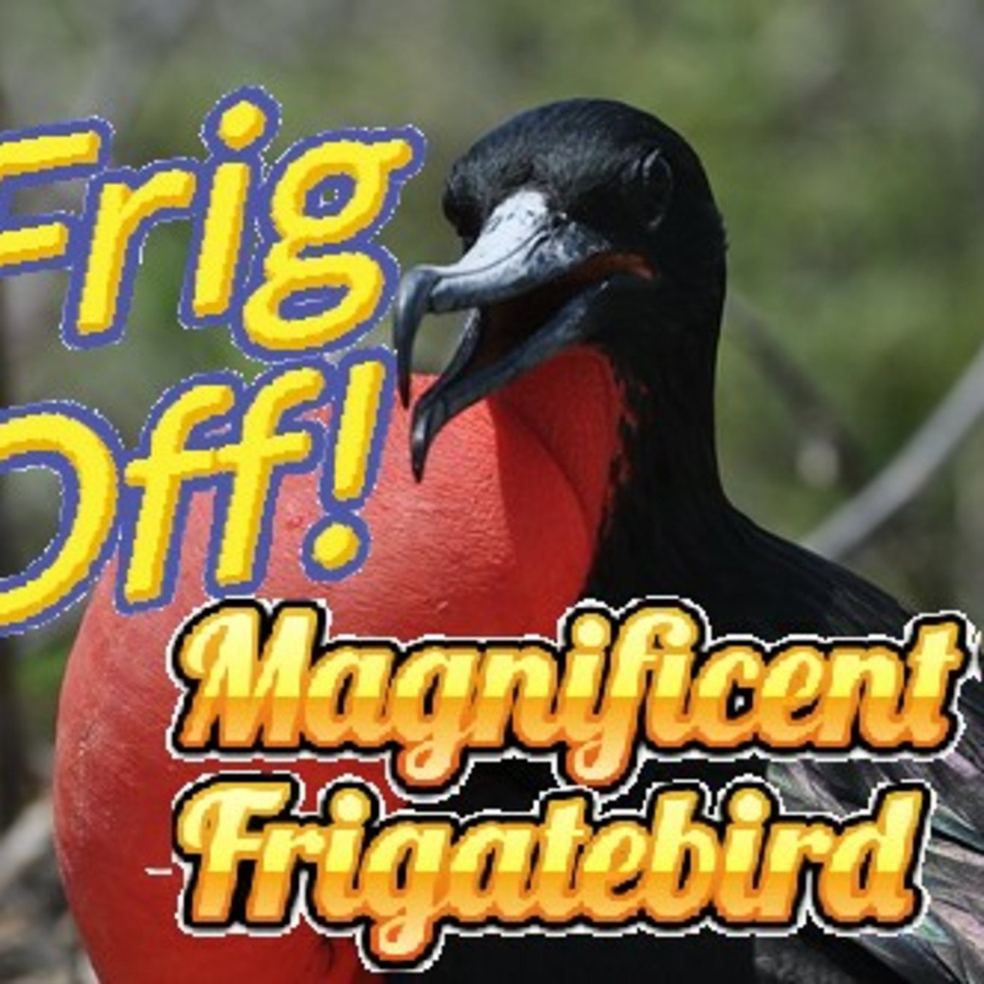 Dirty Bird Podcast - PODash