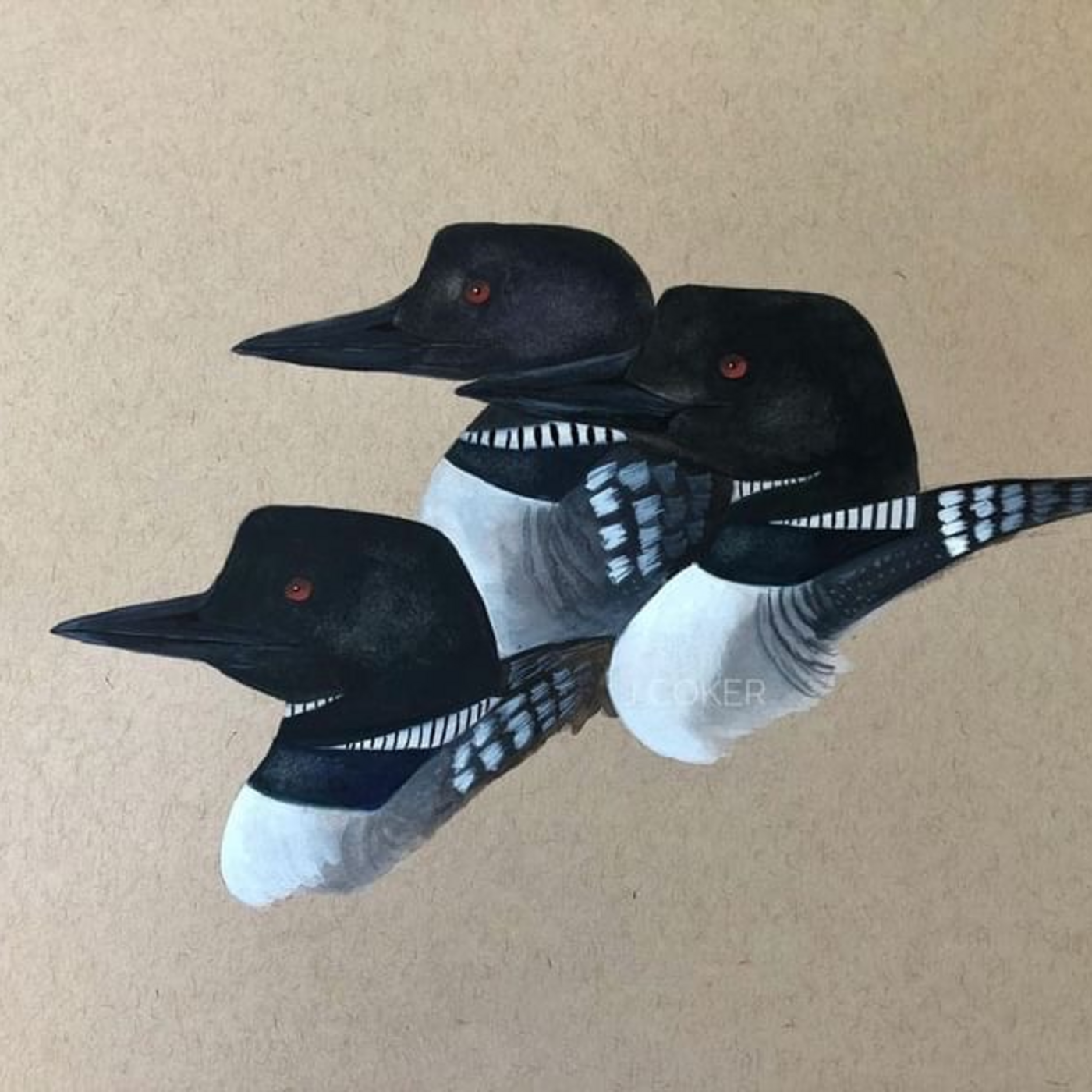 Dirty Bird Podcast - PODash